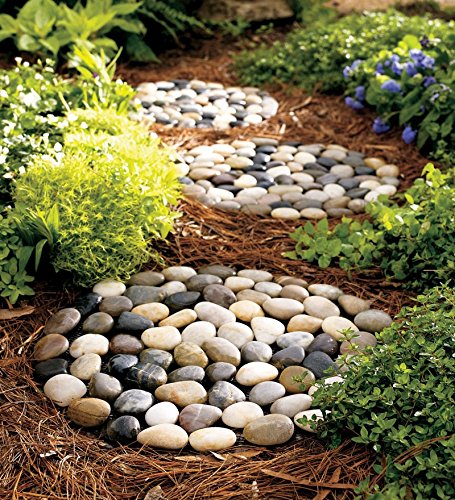 A Simple Stepping Stone Path: An Easy DIY Project | The Garden and ...