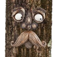 Tree Faces | The Garden and Patio Home Guide