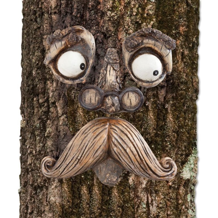 Tree Faces | The Garden and Patio Home Guide
