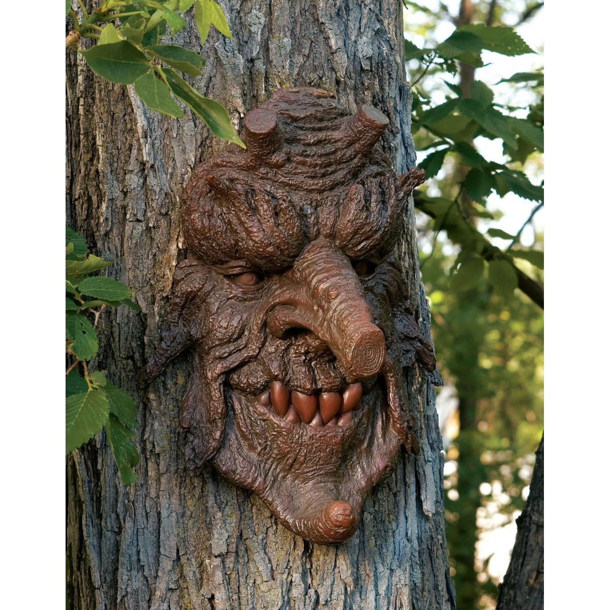 Tree Faces | The Garden and Patio Home Guide