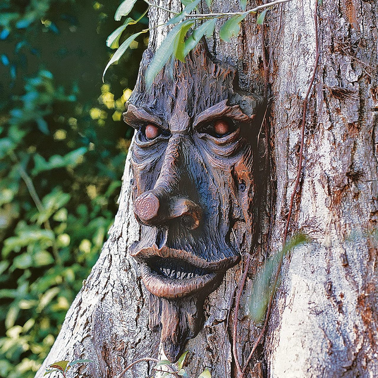Tree Faces | The Garden and Patio Home Guide