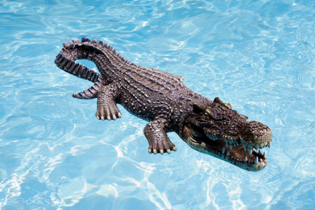 Alligator Decoy | The Garden and Patio Home Guide