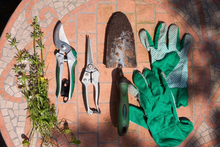 Common Gardening Injuries And How to Avoid Them | The Garden and Patio ...
