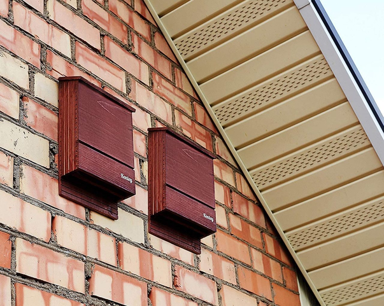 Where To Put A Bat House | The Garden and Patio Home Guide