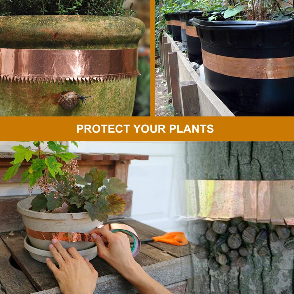 Copper Tape Slugs | The Garden and Patio Home Guide