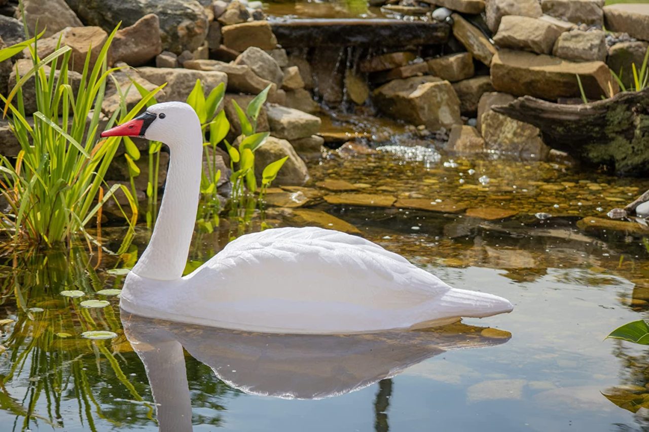 Swan Decoy | The Garden and Patio Home Guide