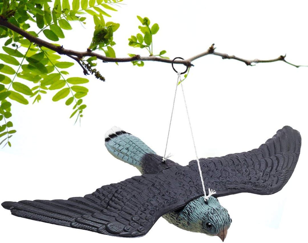 Hawk Decoy | The Garden and Patio Home Guide