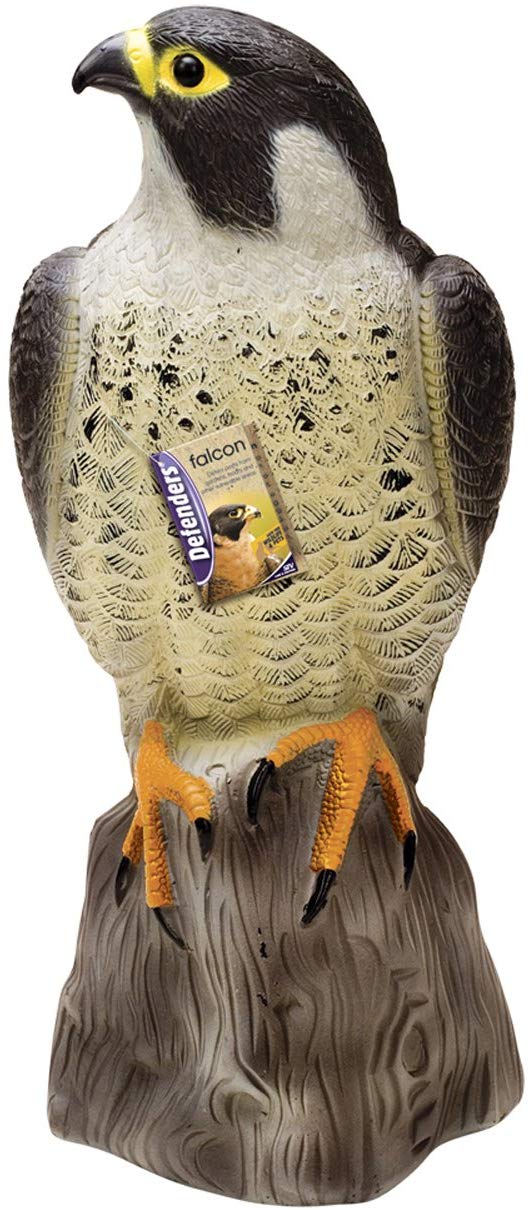 Falcon Decoy | The Garden and Patio Home Guide