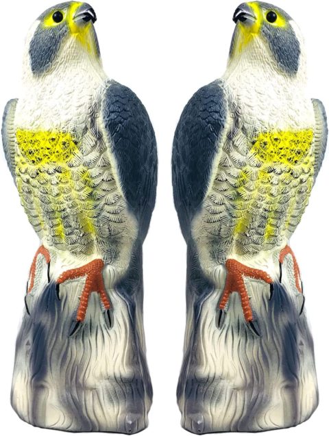 Alligator Decoy | The Garden and Patio Home Guide