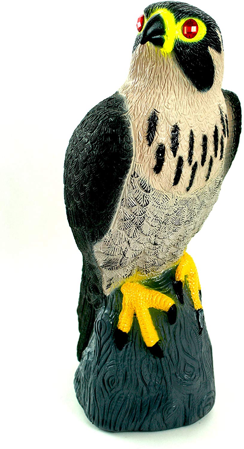 Falcon Decoy | The Garden and Patio Home Guide
