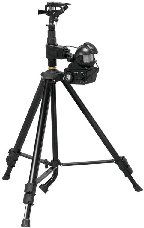 Dead Vulture Decoy | The Garden and Patio Home Guide