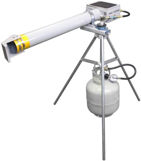 Bird Cannon | The Garden and Patio Home Guide