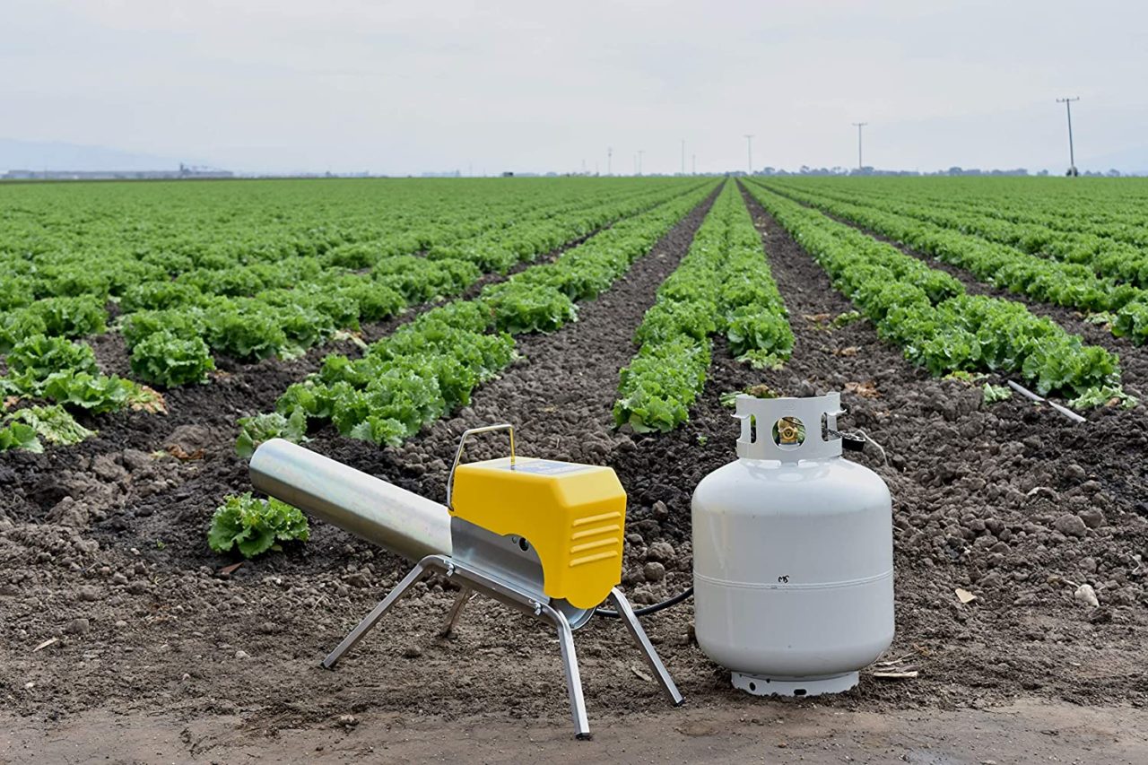 Irish Spring Deer Repellent | The Garden and Patio Home Guide