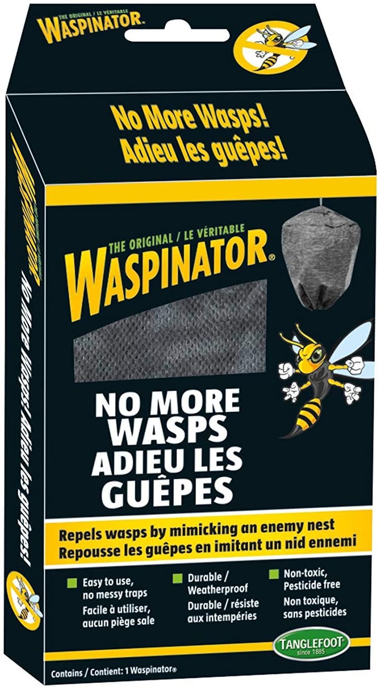 Fake Wasp Nest | The Garden and Patio Home Guide